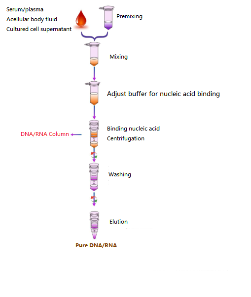 Kit Isolasi DNA RNA Pemurnian Tinggi Dan Hasil RNA Dengan DNA dan RNA ...